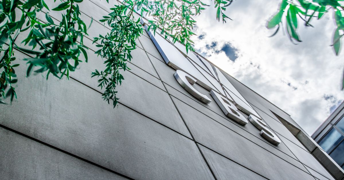 New kid on the block: CBS may get a one-year alternative to its two ...