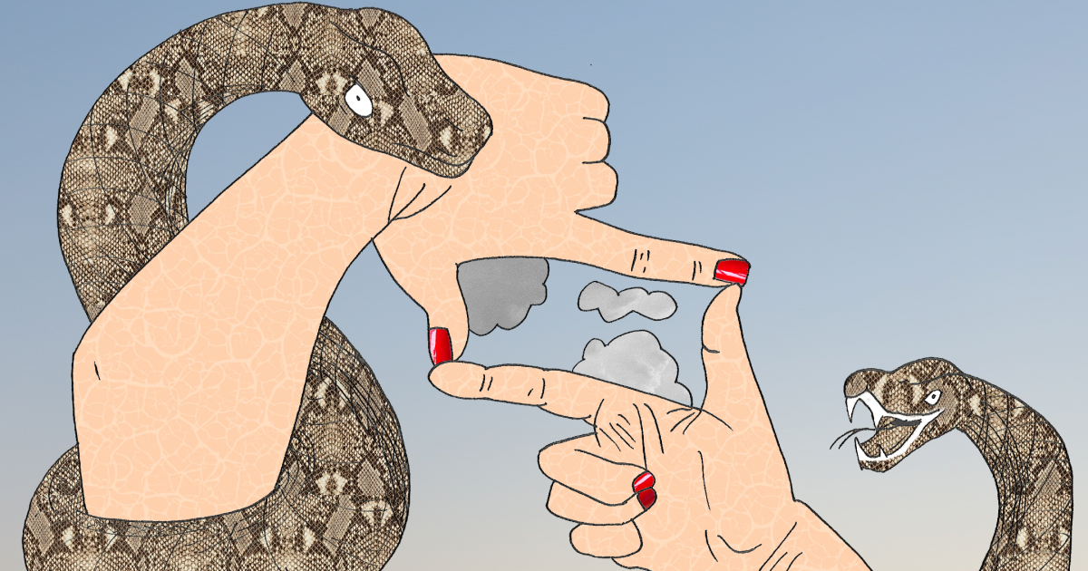 Python? My kind of snake - CBS WIRE