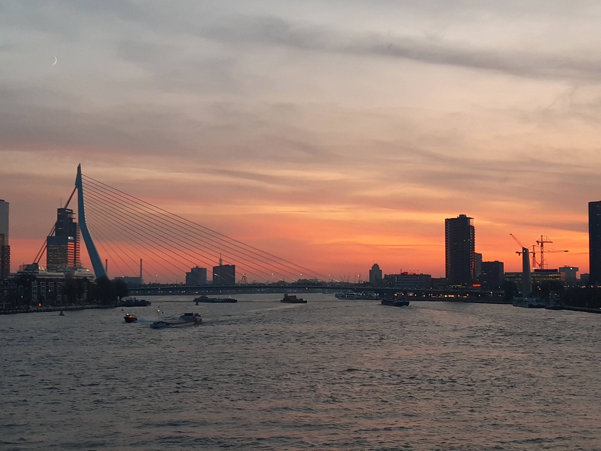 A one-day trip to the 'real' Rotterdam includes traditional Dutch food ...