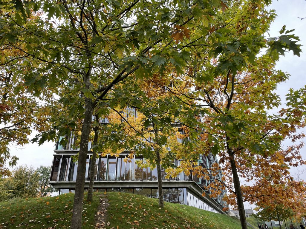 Academic Council meets with the chair of the CBS Board to improve ...